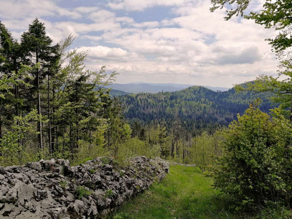 Archaeological park Ad Pirum - Claustra