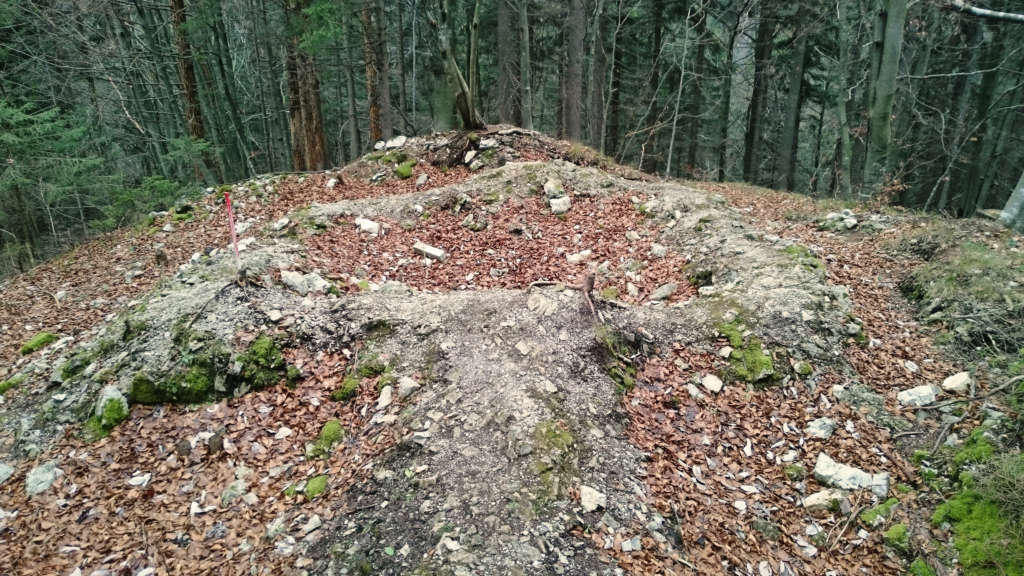 RAKITNA - Claustra